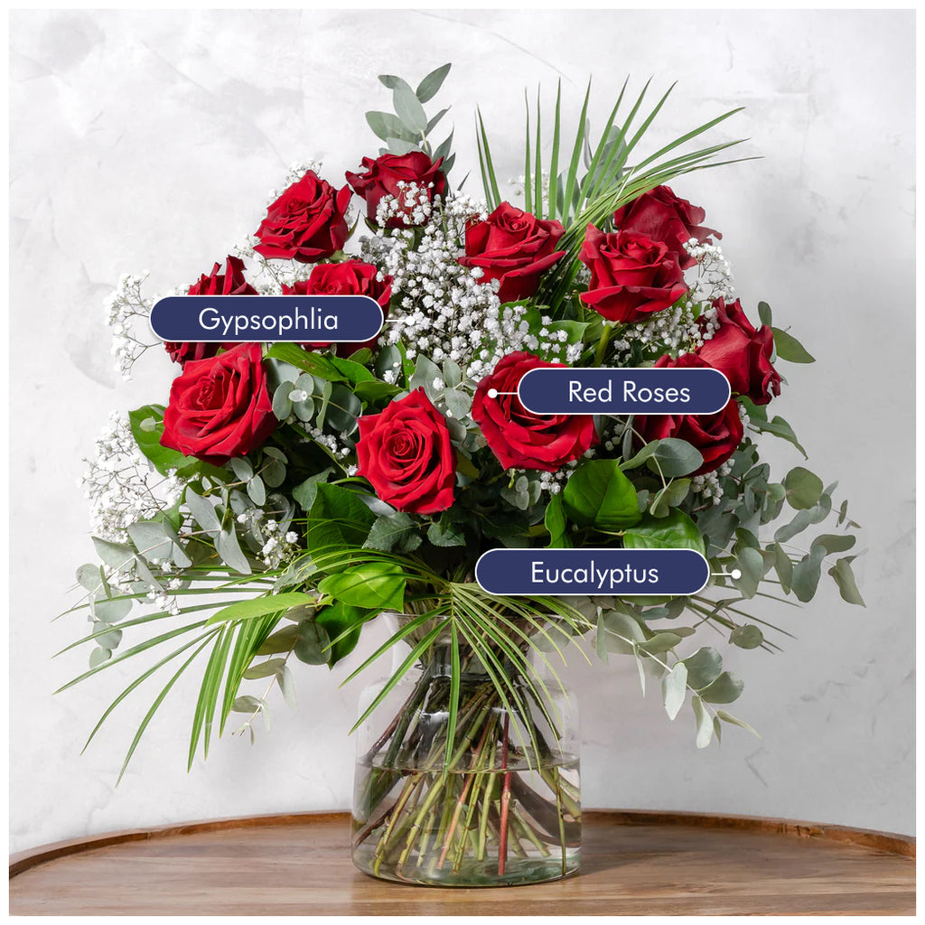 Dozen Red Roses - Twelve Luxury Red Roses - The Flower Factory