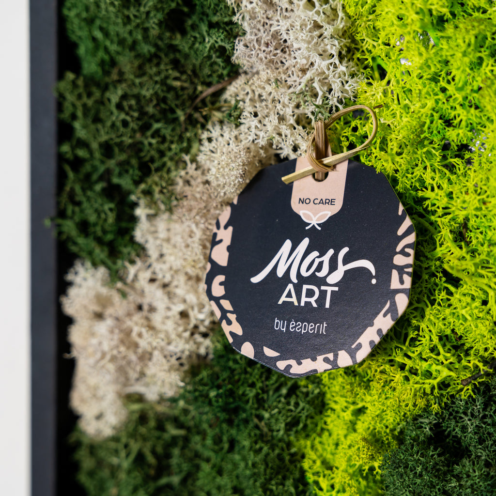 Moss Art - Rectangle - The Flower Factory