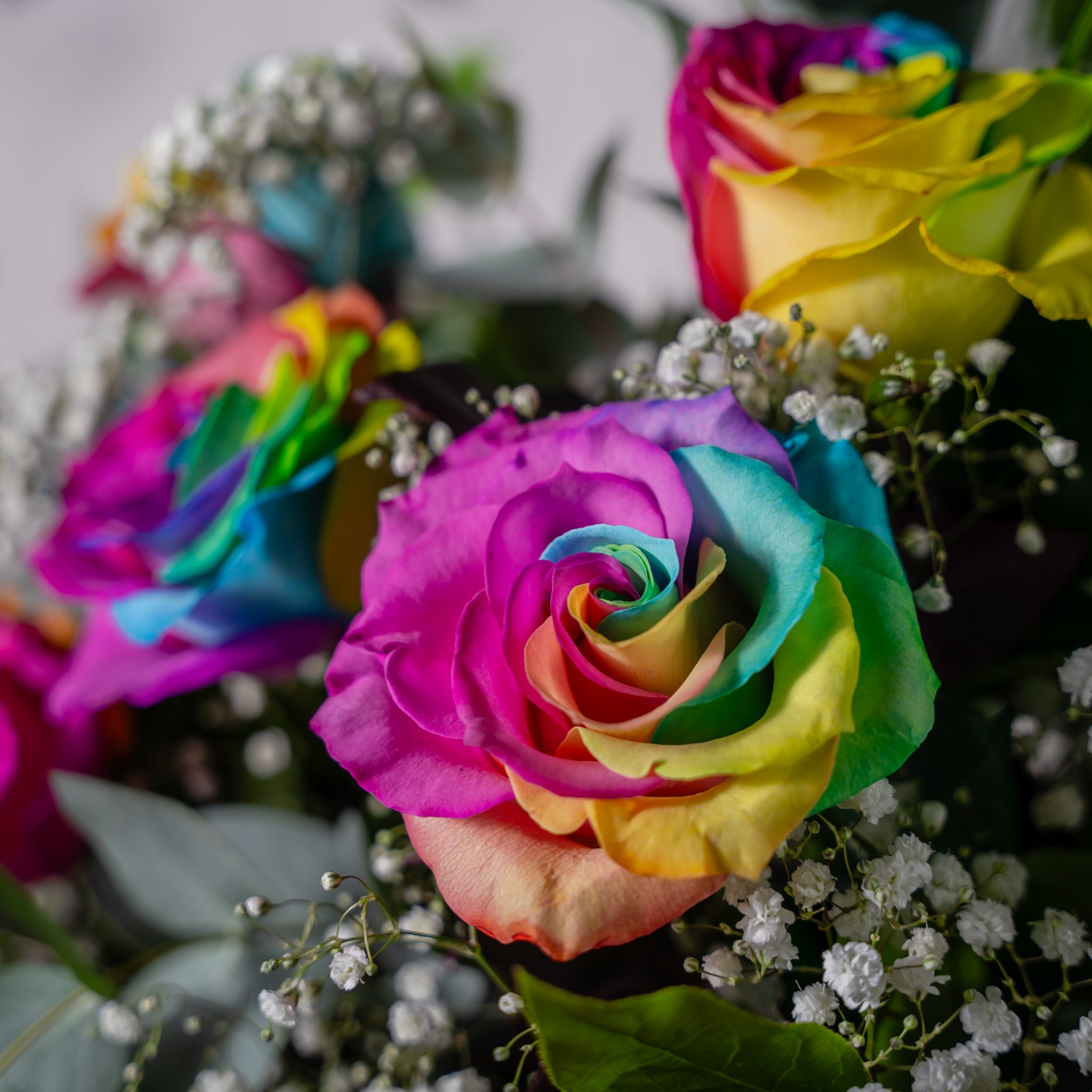 Buy Rainbow Roses Online | Florist Delivery | The Flower Factory - The ...