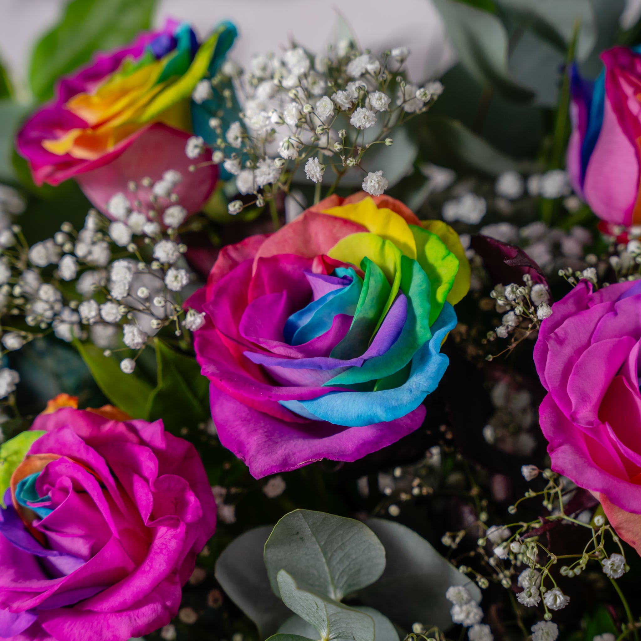 Buy Rainbow Roses Online | Florist Delivery | The Flower Factory - The ...