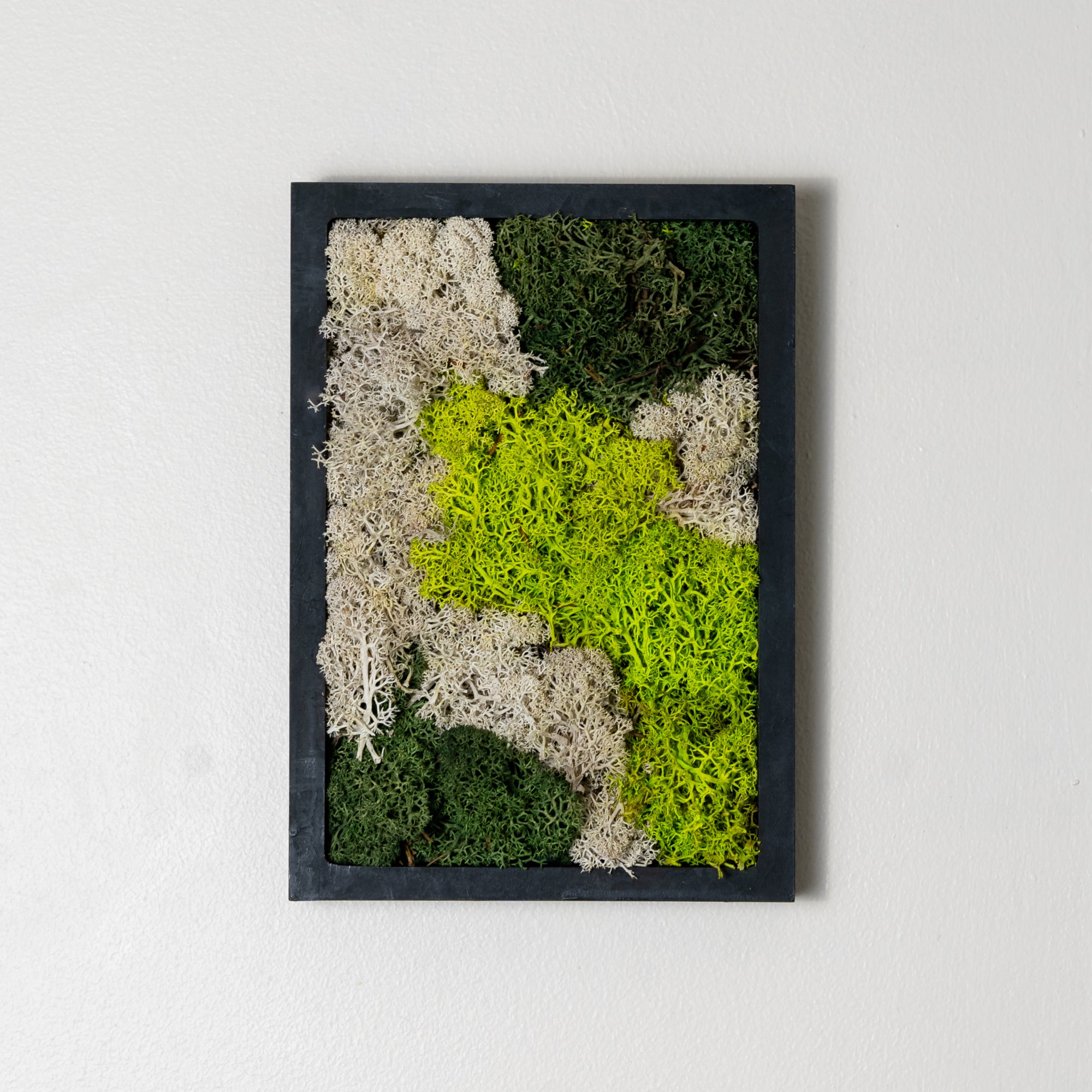 Moss Art - Rectangle - The Flower Factory