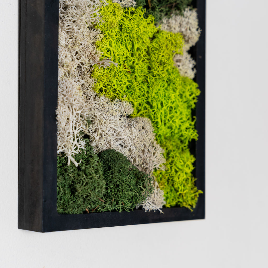 Moss Art - Rectangle - The Flower Factory