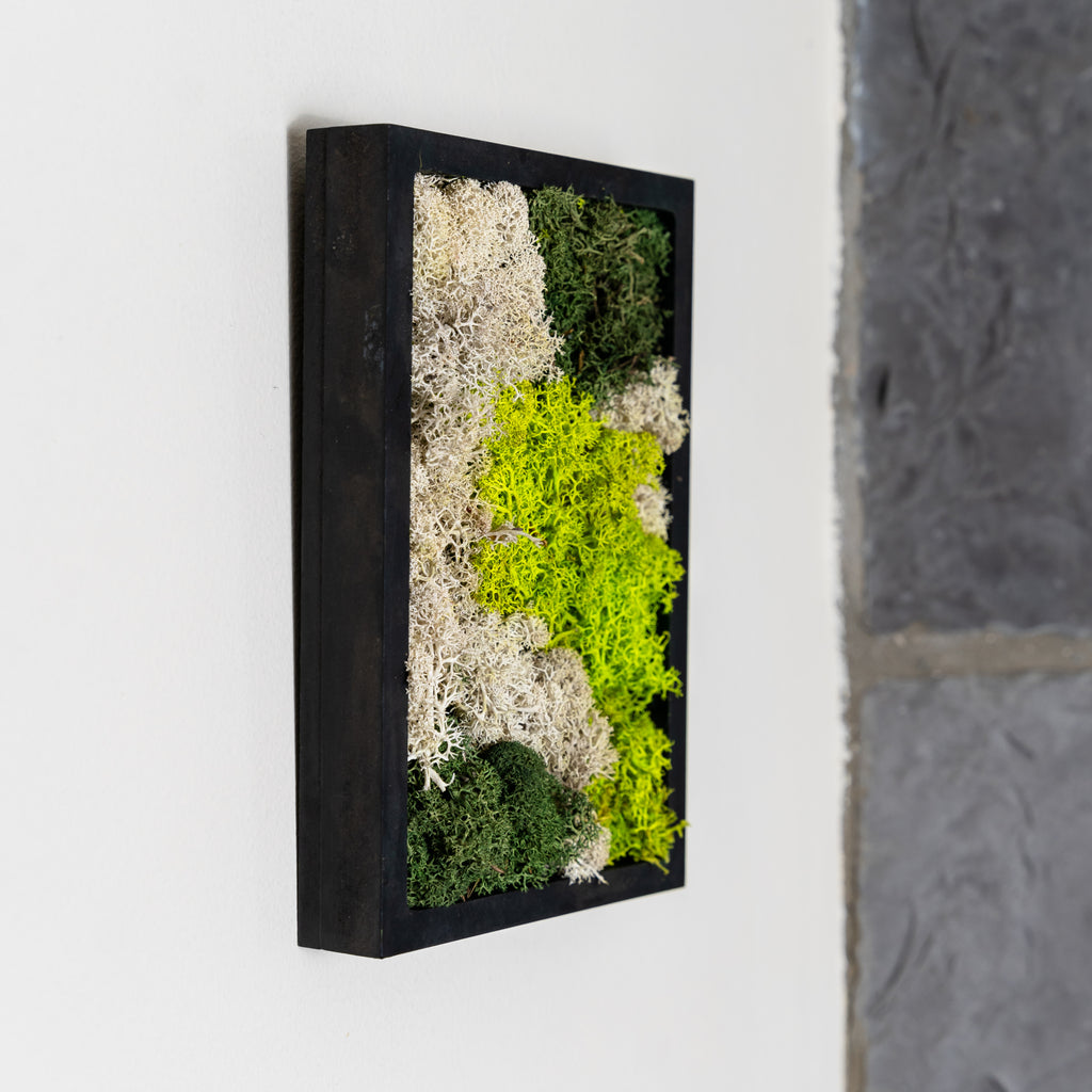 Moss Art - Rectangle - The Flower Factory